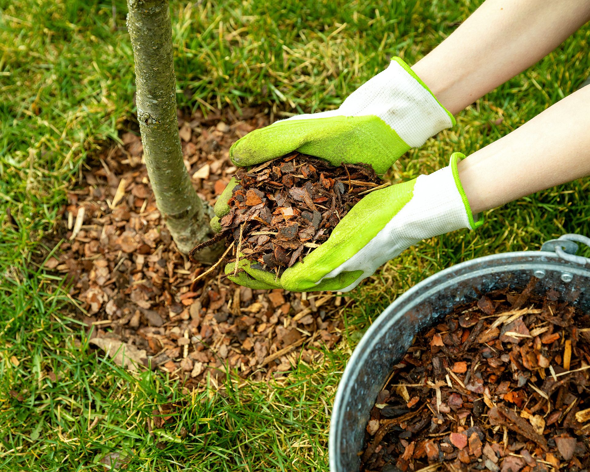 7 Mulching Mistakes To Avoid If You Want Healthier Plants | Gardening ...