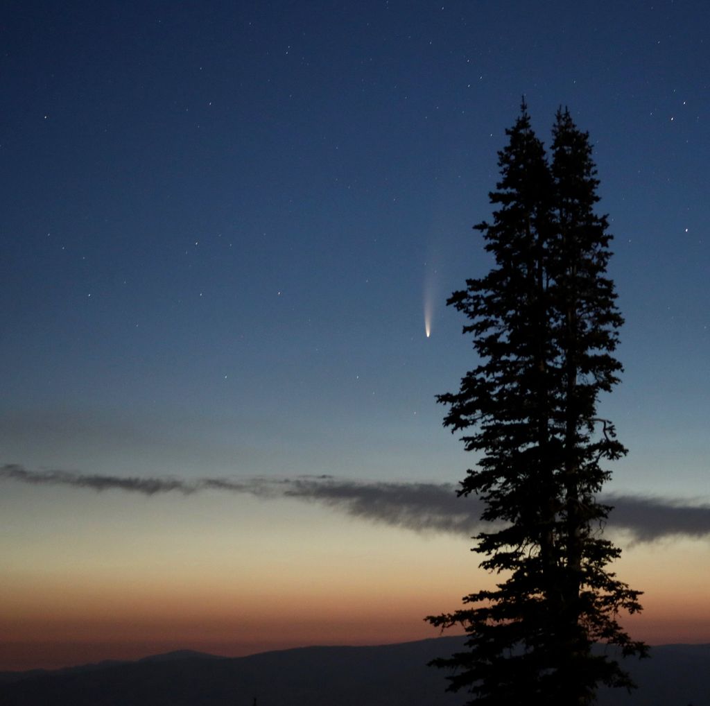 Comet NEOWISE is making its closest approach to Earth. Here's how to ...