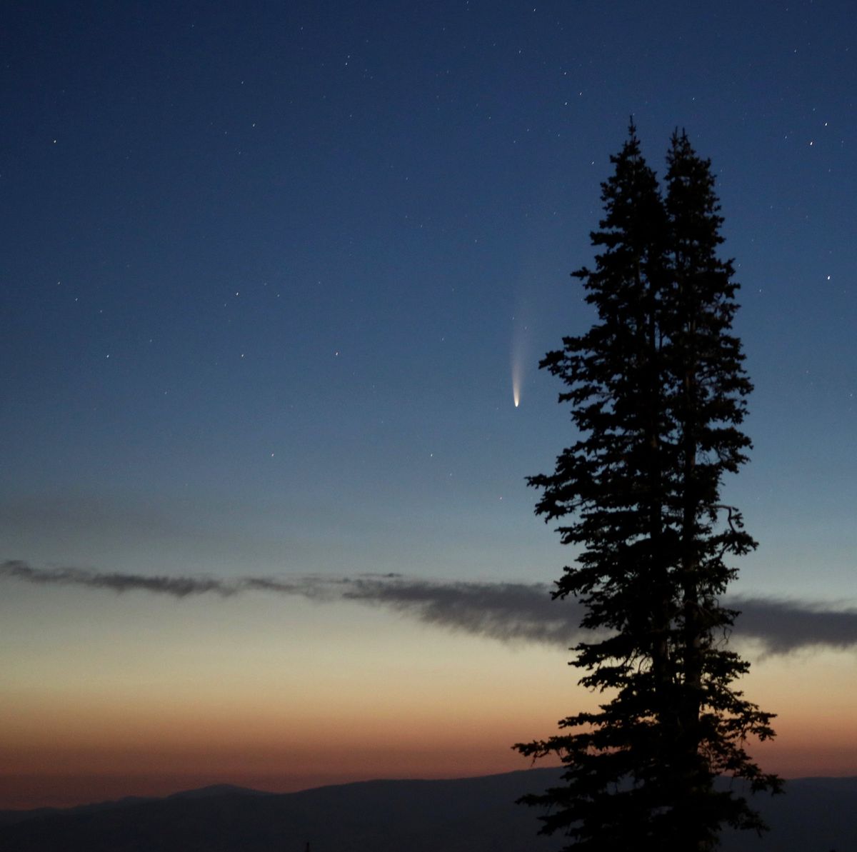 Comet NEOWISE is making its closest approach to Earth. Here's how to ...