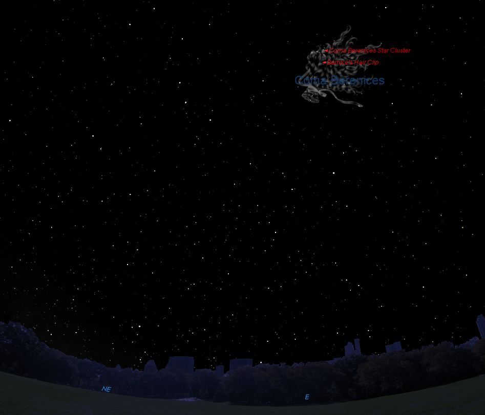Hairy Constellation: How to Spot a Celestial 'Wig' This Week | Space