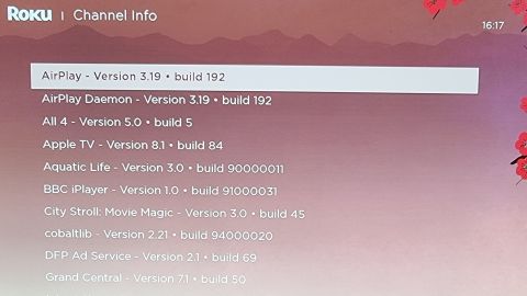 5 secret Roku menus to get to know your streaming device better than ...