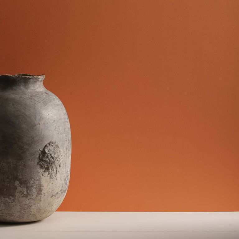 On-trend paint ideas from Benjamin Moore's fall 2024 lookbook | Homes ...