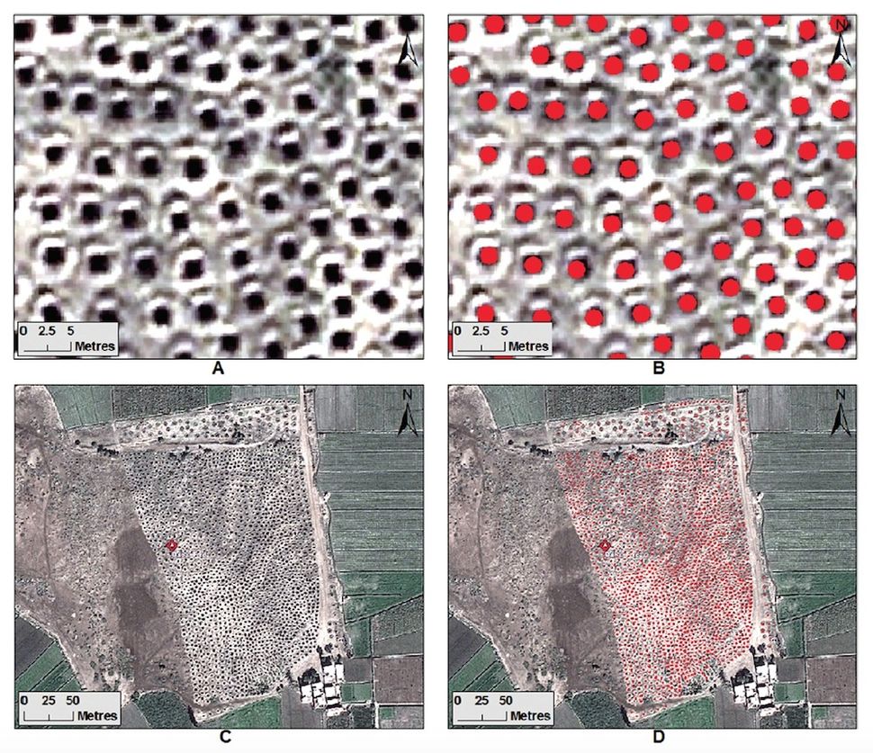 'Space Archaeologists' Show Spike in Looting at Egypt's Ancient Sites ...