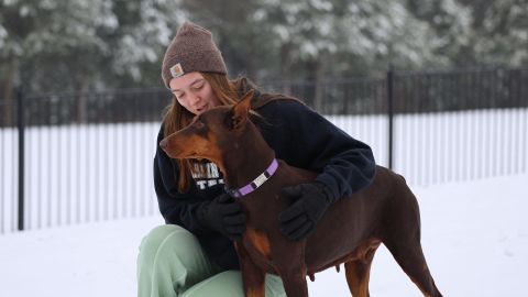20 most loyal dog breeds revealed | PetsRadar