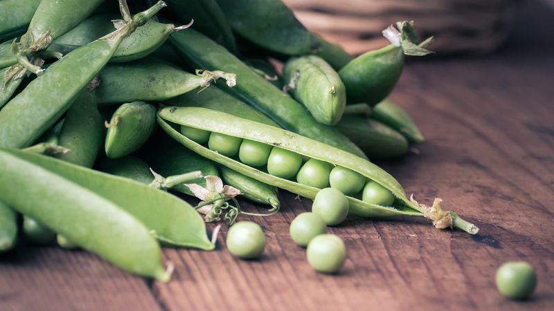 Tips & Information about Peas - Page 2 | Gardening Know How