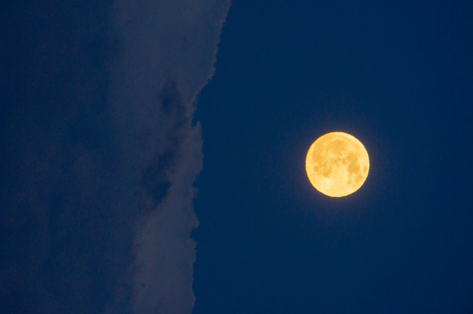 April full moon has us tickled pink in these gorgeous photos | Space
