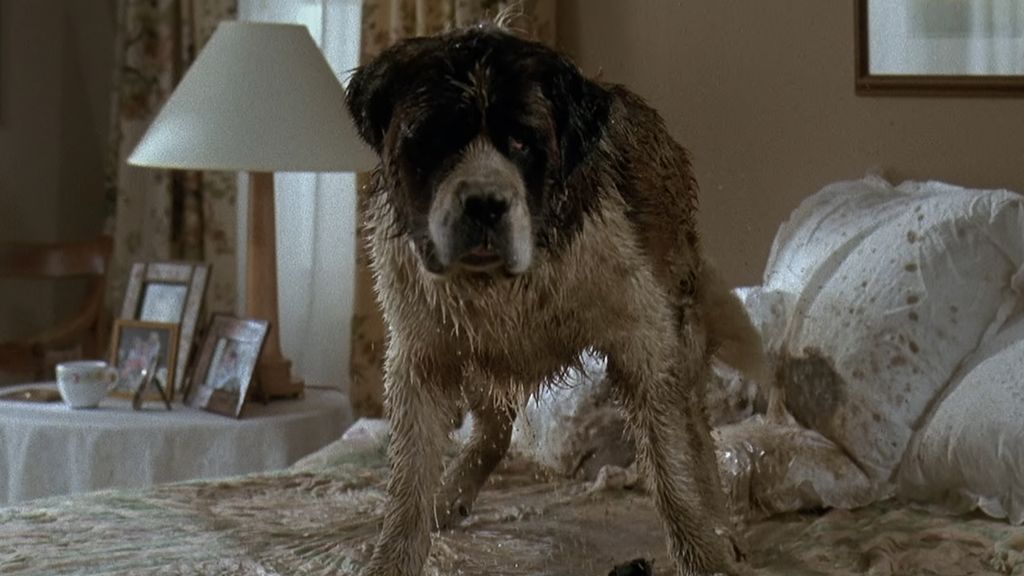 32 Of The Best Pets In Hollywood History | Cinemablend