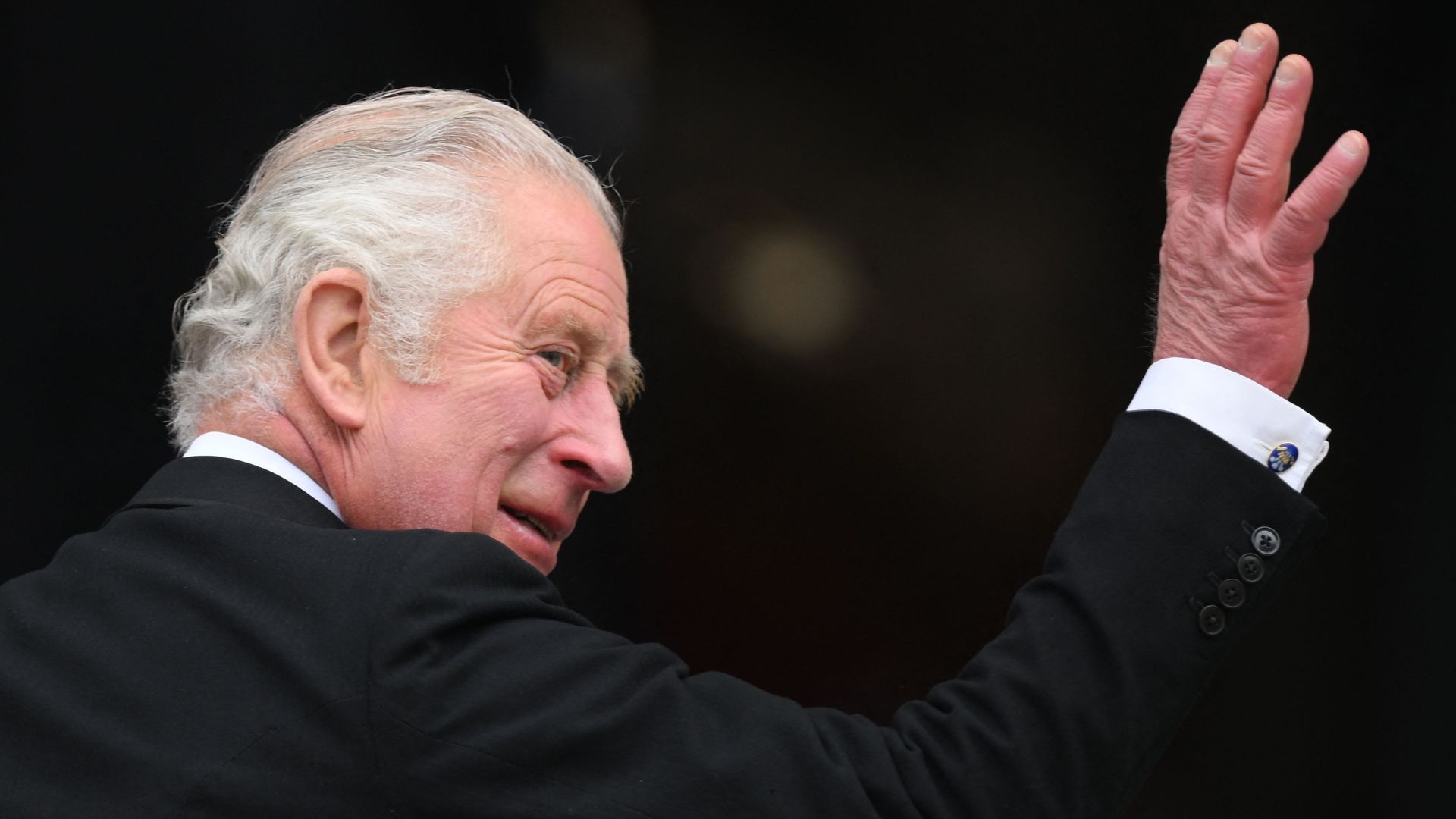 King Charles' 'sausage fingers' spark concern from royal fans | Woman ...