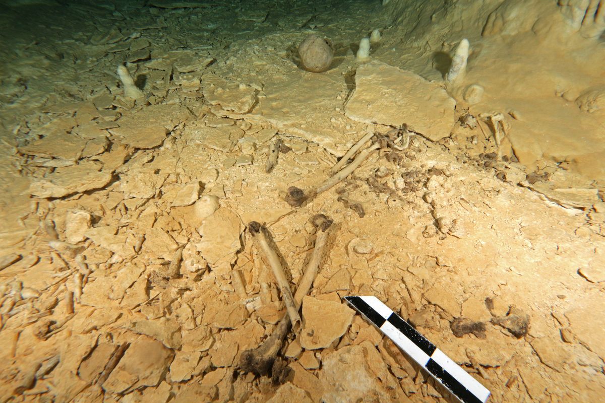 9,900-year-old skeleton of horribly disfigured woman found in Mexican ...