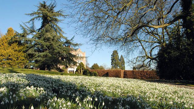 Where to see snowdrops: Best gardens in England and Scotland | Country Life