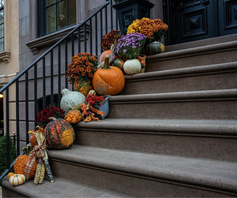 Fall planter ideas: 15 looks for stylish seasonal containers | Homes ...