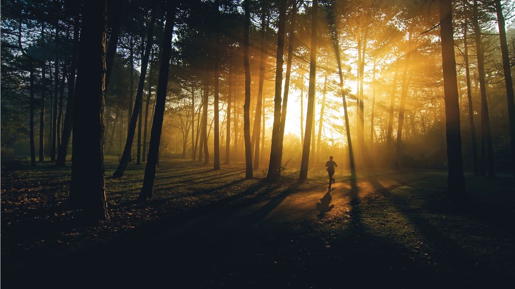 14 tips for running every day | Advnture