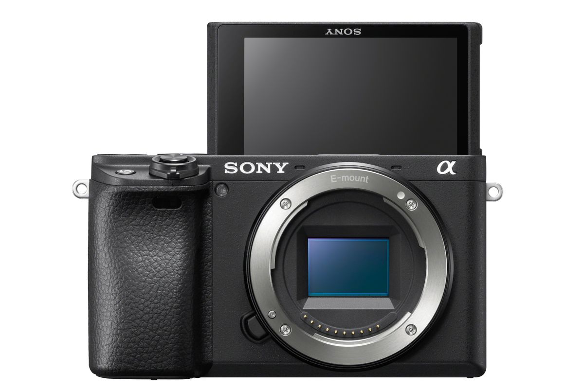 Sony in 2019: everything that happened, from the spellbinding to the ...
