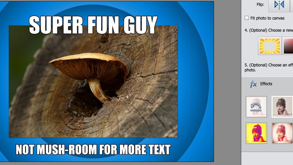 The best photo editing software | Creative Bloq