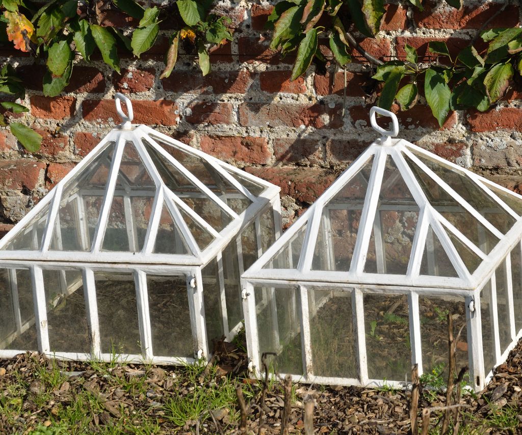 How to sow seeds outdoors: tips from an experienced gardener | Homes ...
