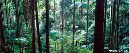 Evolution Occurs Faster at the Equator | Live Science