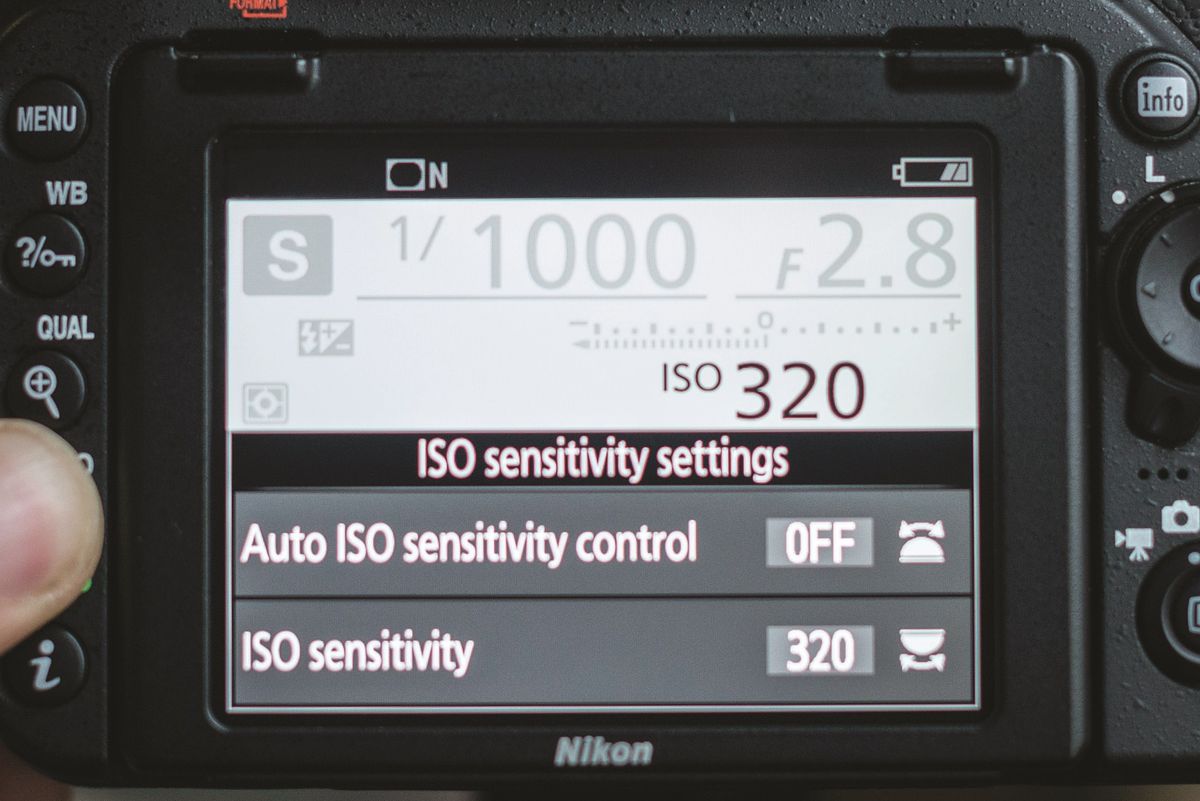 Better bird photography: freeze birds in flight with fast shutter ...