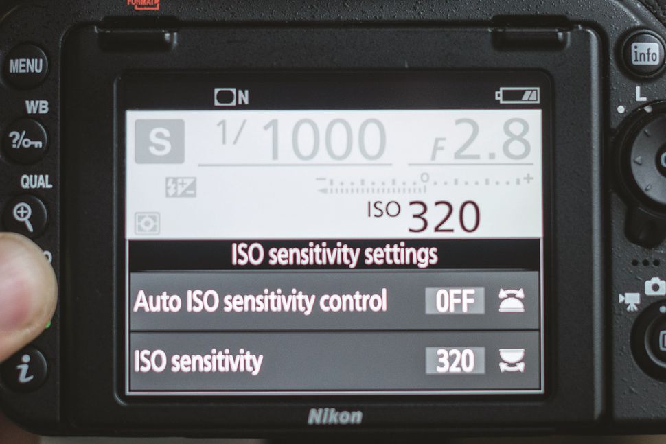 Better bird photography: freeze birds in flight with fast shutter ...