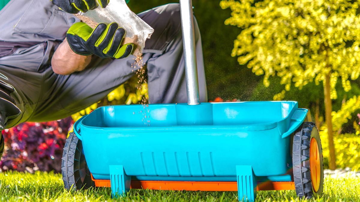 9 tips to revive dead grass and make your lawn green again | Tom's Guide