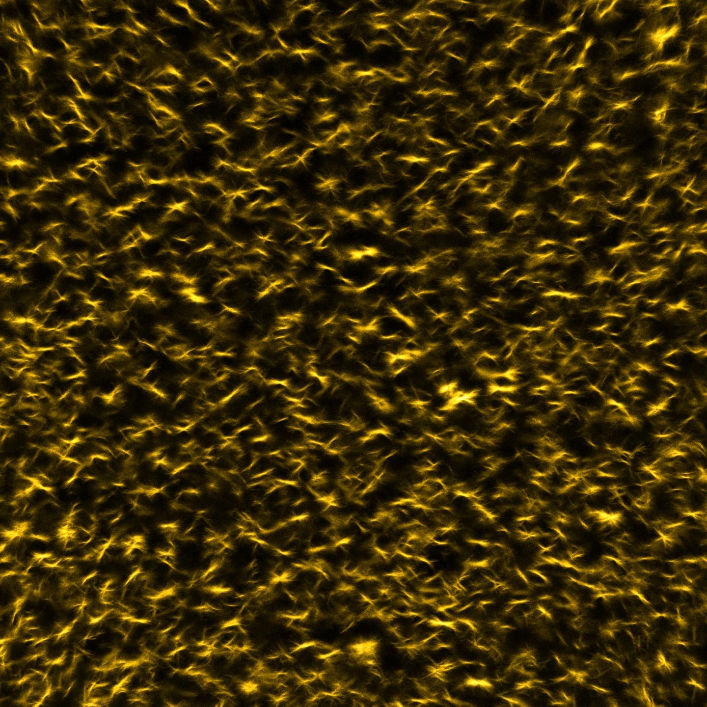 Far-Out Molecules Designed to Self-Destruct at Specific Times | Live ...