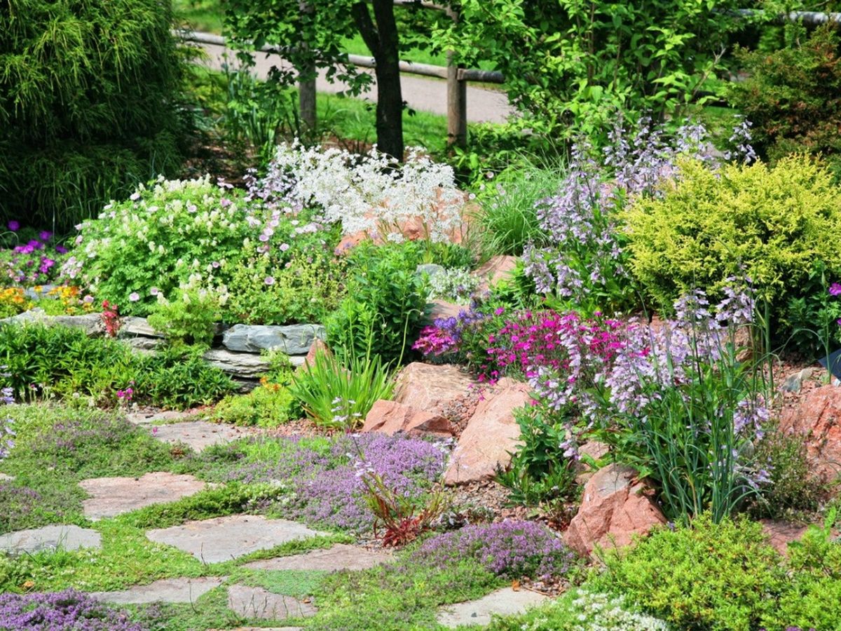 Creating A Rocky Crevice Garden At Home | Gardening Know How