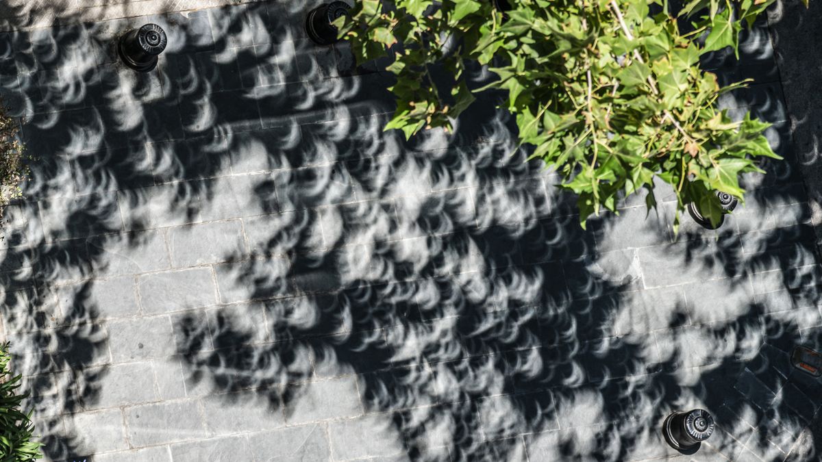 8 ways to capture the partial solar eclipse with your smartphone ...