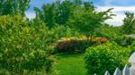 US hardiness zone 9: how to garden and what to plant | Homes and Gardens