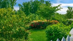 US hardiness zone 9: how to garden and what to plant | Homes and Gardens