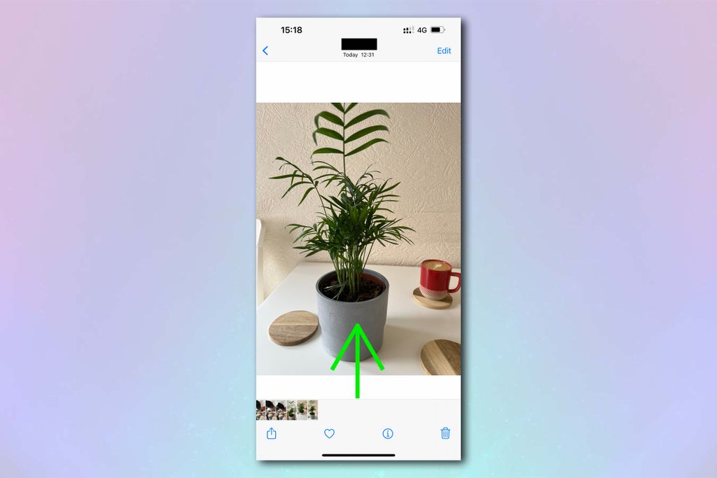 How to identify plants on iPhone | Tom's Guide