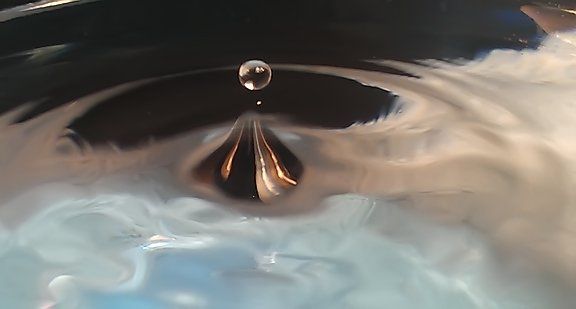 Understanding your Windows Phone Camera | Windows Central