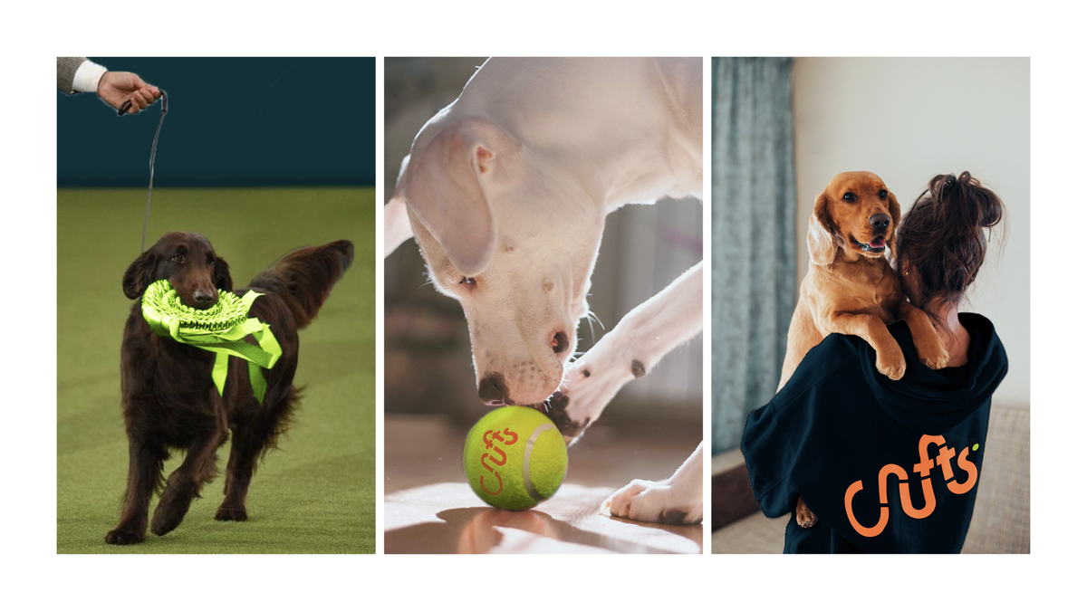 15 brilliant portfolio examples, and why they work | Creative Bloq