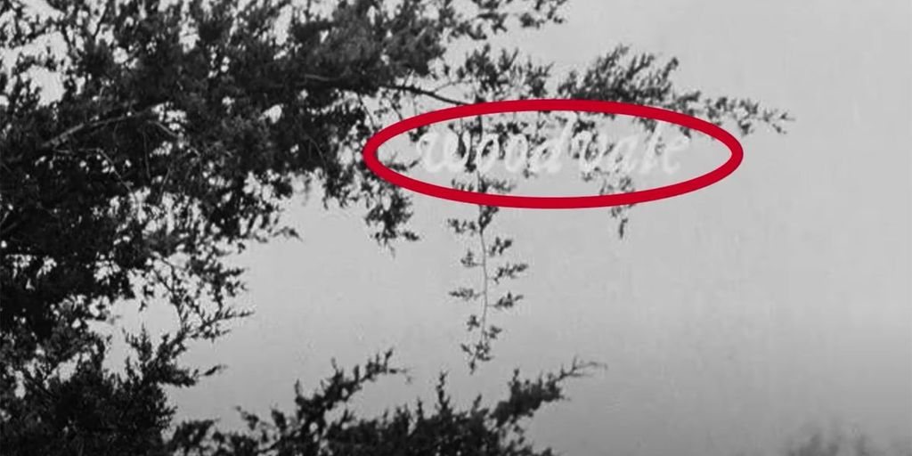 Taylor Swift Explains What Really Happened With Woodvale And That Third ...