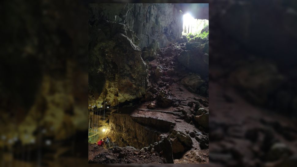 86,000-year-old human bone found in Laos cave hints at 'failed ...