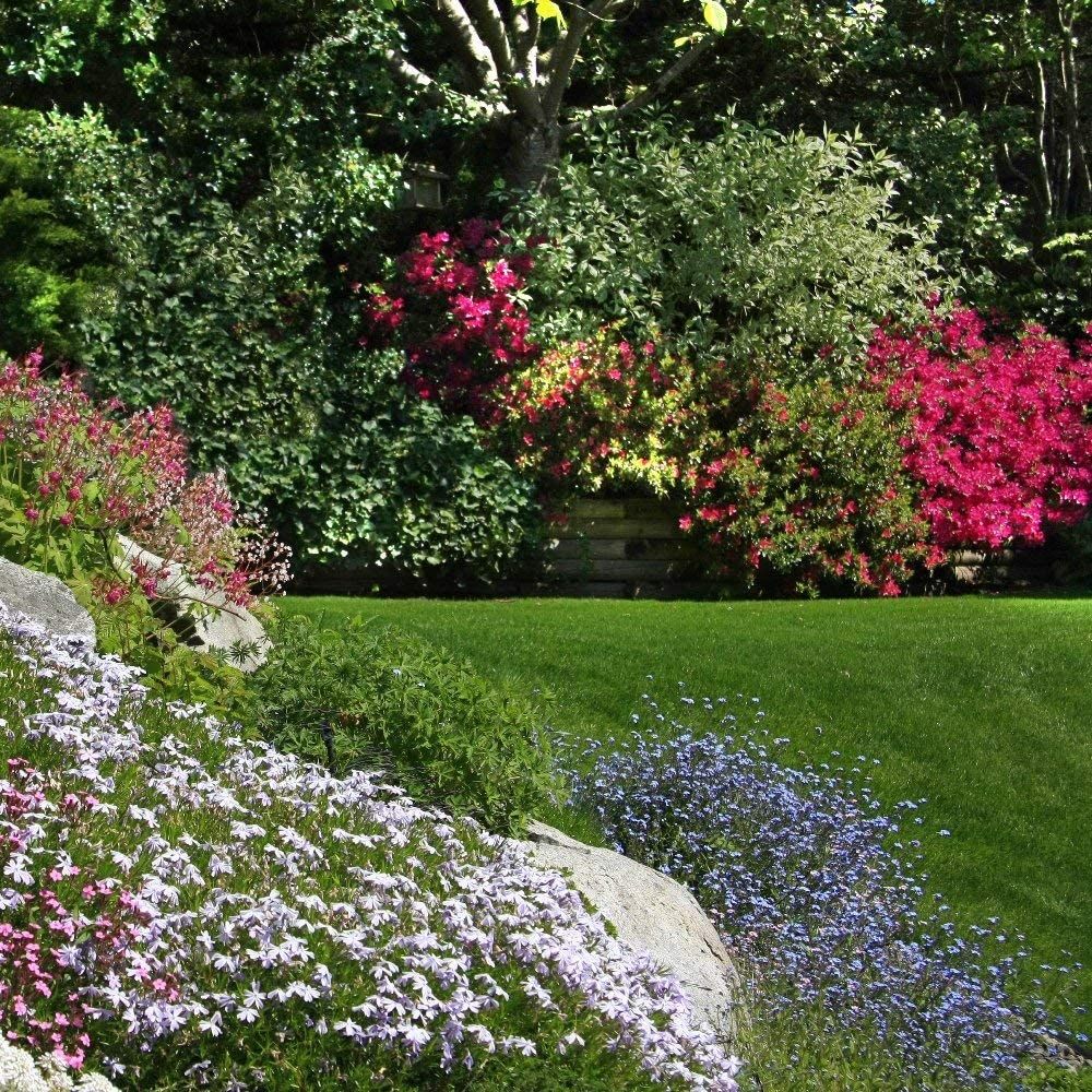 Rock garden ideas – 10 DIY ways to create a rockery | Real Homes