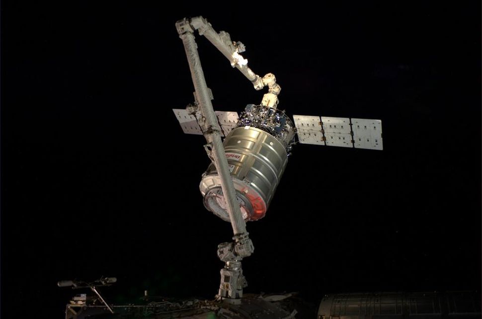Private Cygnus Spaceship Delivers NASA Cargo to Space Station | Space