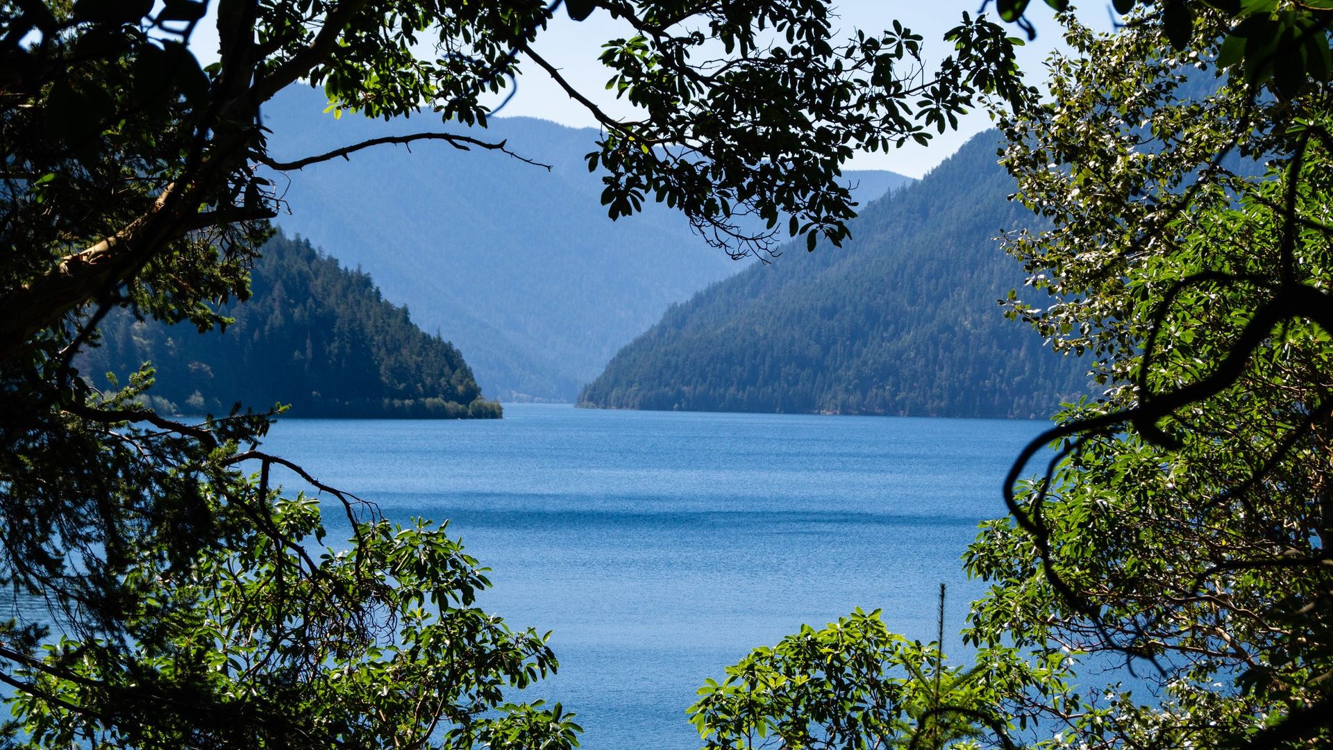 Hiker dies after misjudging 40-foot cliff dive at National Park | Advnture