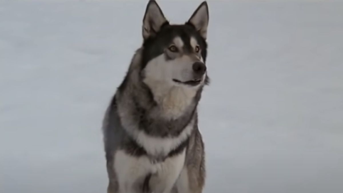 32 Things That Might Happen If You Exist In An Alien Invasion Movie ...