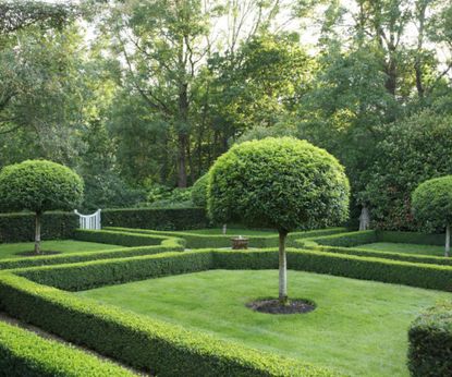 How to get rid of gophers: traps, barriers and repellents | Homes and ...