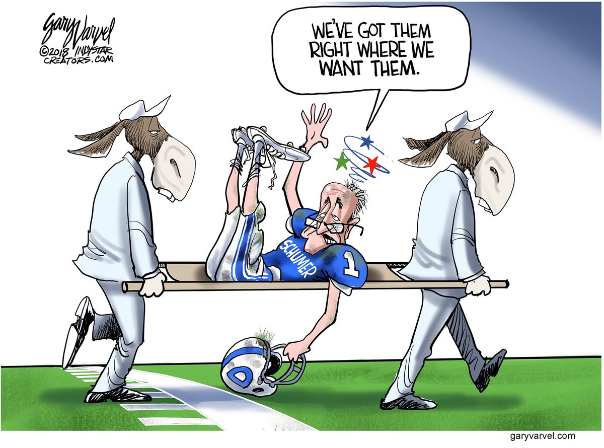 Political cartoon U.S. Chuck Schumer Democrats immigration deal | The Week