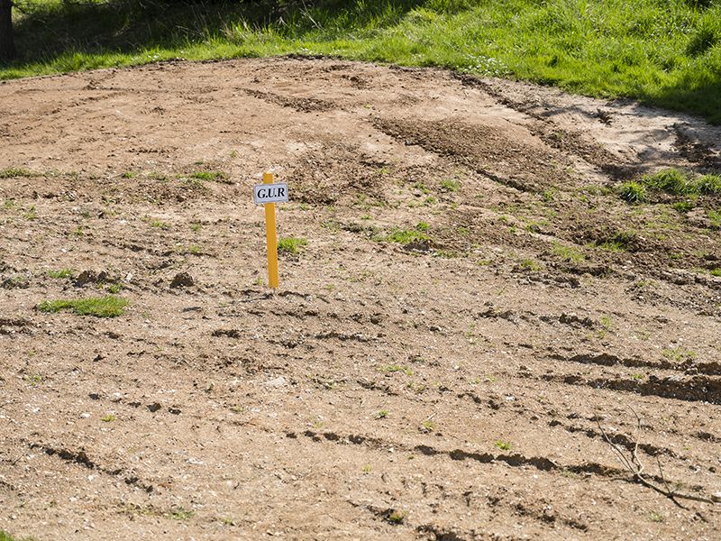 6 Rules Every Golfer Forgets! | Golf Monthly