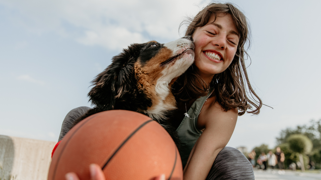 8 fun games to play with dogs (recommended by an expert) | PetsRadar