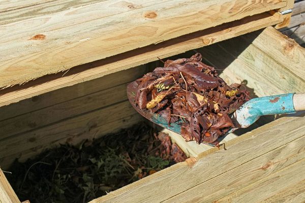 Tips & Information about Composting Basics - Page 3 | Gardening Know How