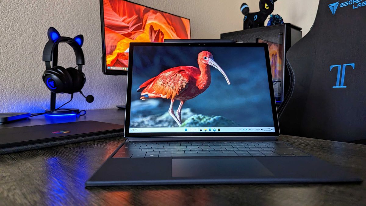 How to cat-proof your laptop or computer: Protect your desk area from ...