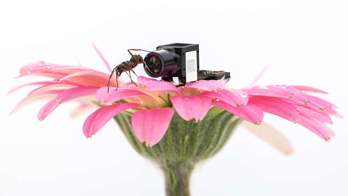 Display Maker Boasts Record-Breaking One Million Nits Red MicroLEDs ...