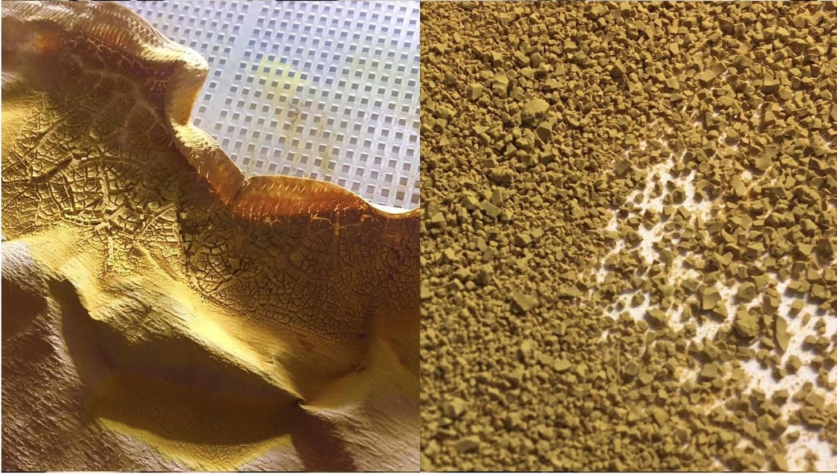 How to make your own watercolour paint from plants | Creative Bloq