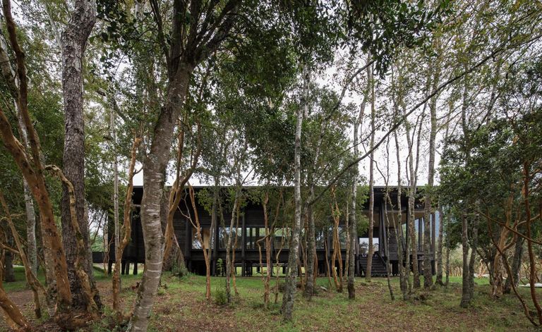 A family retreat in Chile is made of wood | Wallpaper*