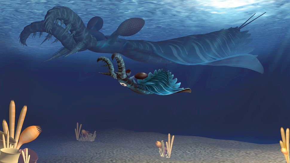 25 of the strangest ancient sea monsters | Live Science