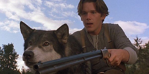 Disney Is Bringing Back White Fang, Here’s What We Know | Cinemablend