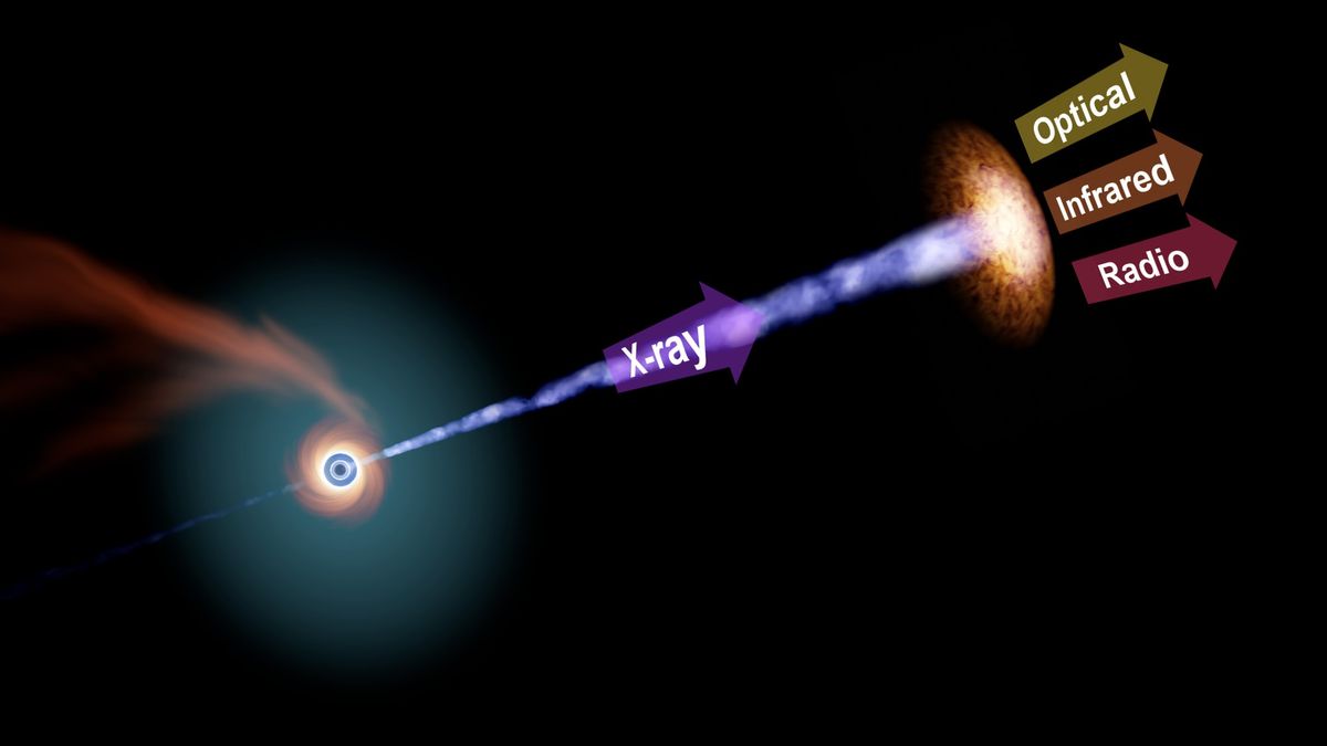 Astronomers witness 18 ravenous black holes ripping up and devouring ...