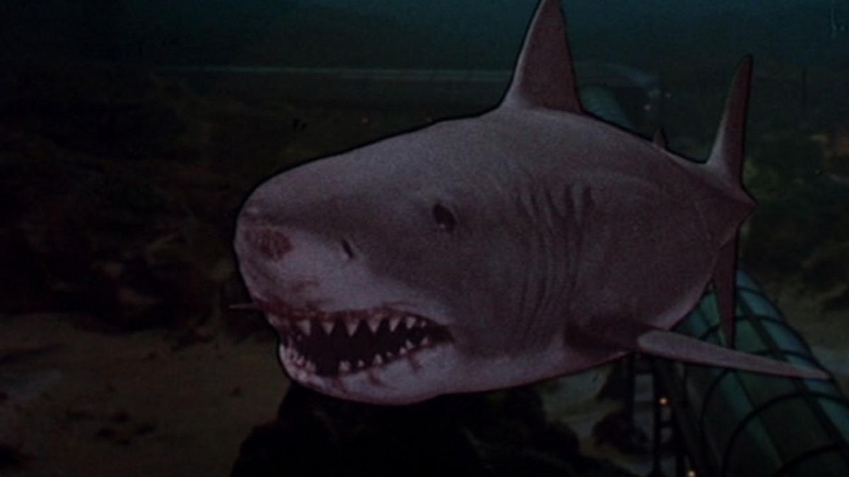 Jaws movies ranked, worst to best | Live Science